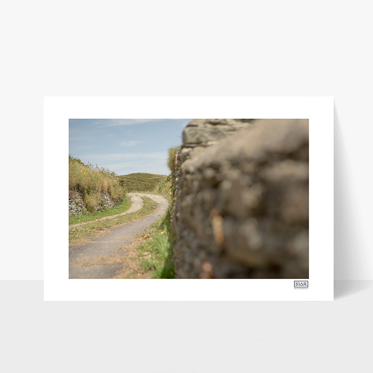 Country Road Print - Artist Gift Gallery